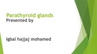 Approach to Parathyroid gland case ppptx | PPTX