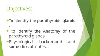 Approach to Parathyroid gland case ppptx | PPTX