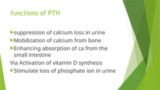Approach to Parathyroid gland case ppptx | PPTX
