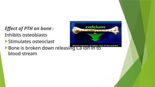 Approach to Parathyroid gland case ppptx | PPTX