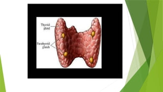 Approach to Parathyroid gland case ppptx | PPTX