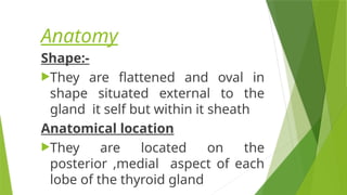 Approach to Parathyroid gland case ppptx | PPTX