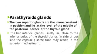 Approach to Parathyroid gland case ppptx | PPTX