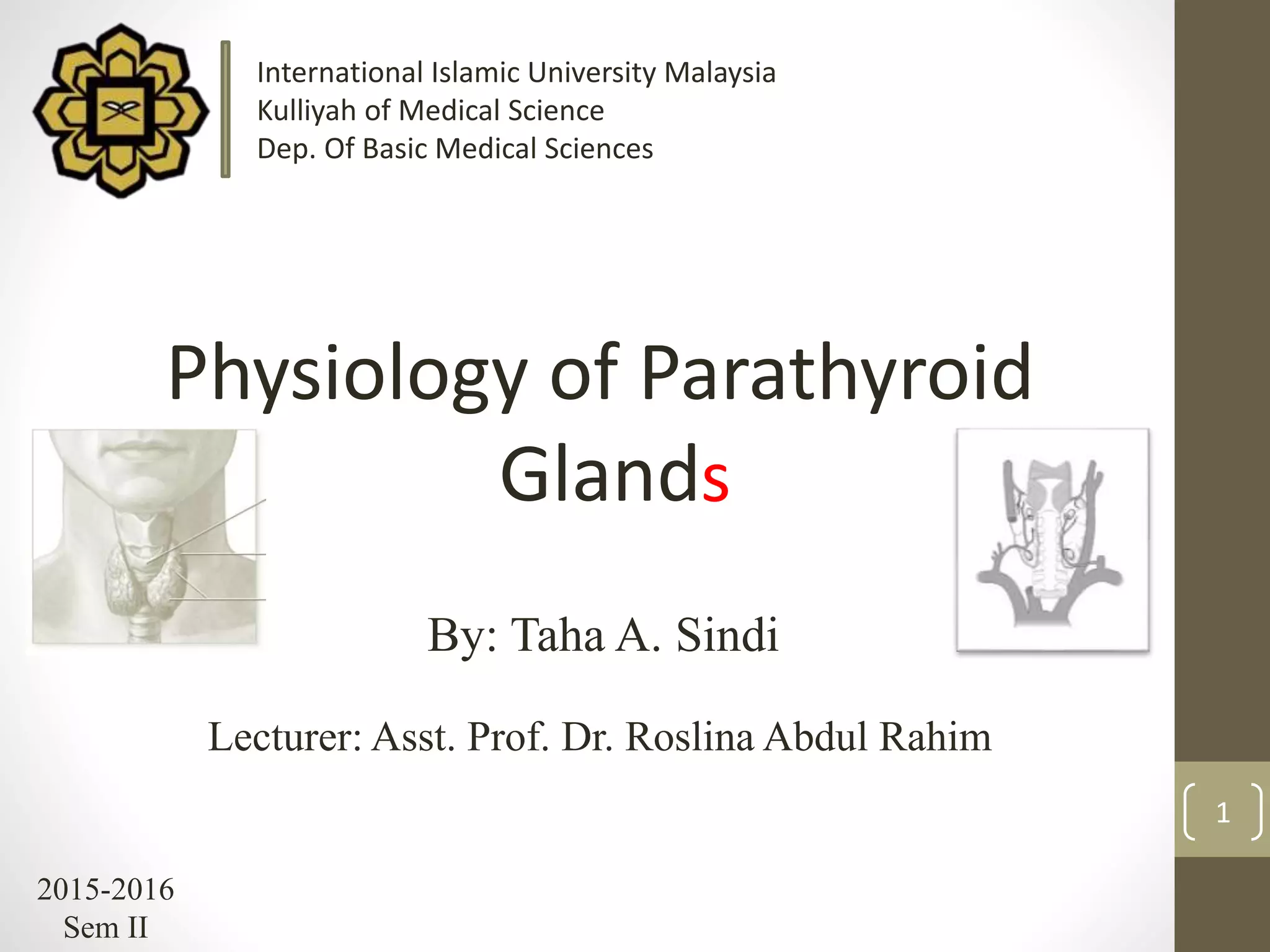 Physiology of Parathyroid glands | PPTX