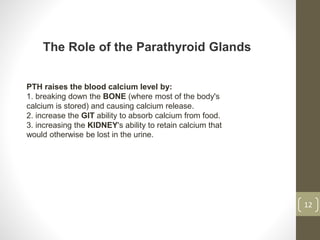 Physiology of Parathyroid glands | PPTX