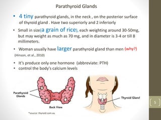 Parathyroid Gland Ppt