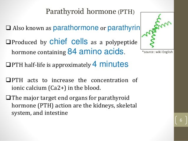 Physiology of Parathyroid glands