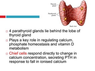 Parathyroid gland disorders and tetany | PPTX
