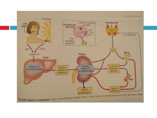 Parathyroid gland disorders and tetany | PPTX