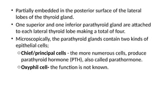 Parathyroid Gland Disorders [Autosaved].pptx