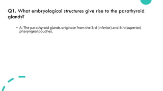 Parathyroid Gland Insights and questions | PPTX