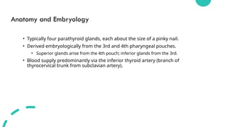 Parathyroid Gland Insights and questions | PPTX