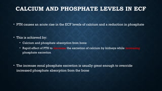 Physiology of the Parathyroid gland physiology.pptx