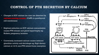 Physiology of the Parathyroid gland physiology.pptx