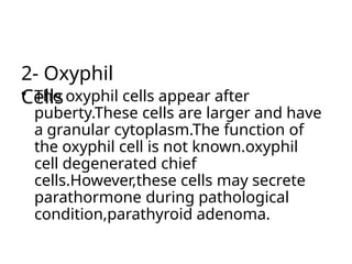 parathyroidglands and hormones functions | PPTX