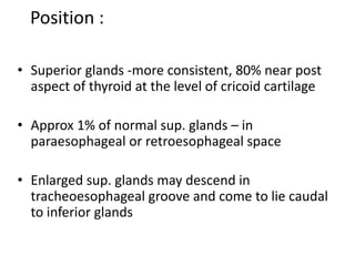 PARATHYROID GLANDS.pptx