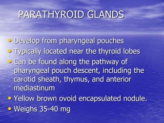 PARATHYROID GLANDS AND PATHOLOGY OF IT.pptx
