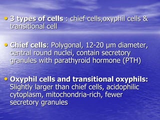 PARATHYROID GLANDS AND PATHOLOGY OF IT.pptx