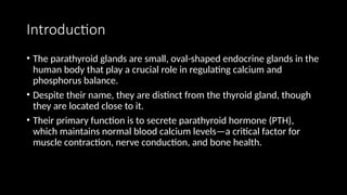 Parathyroid glands/endocrine system/microteaching | PPTX