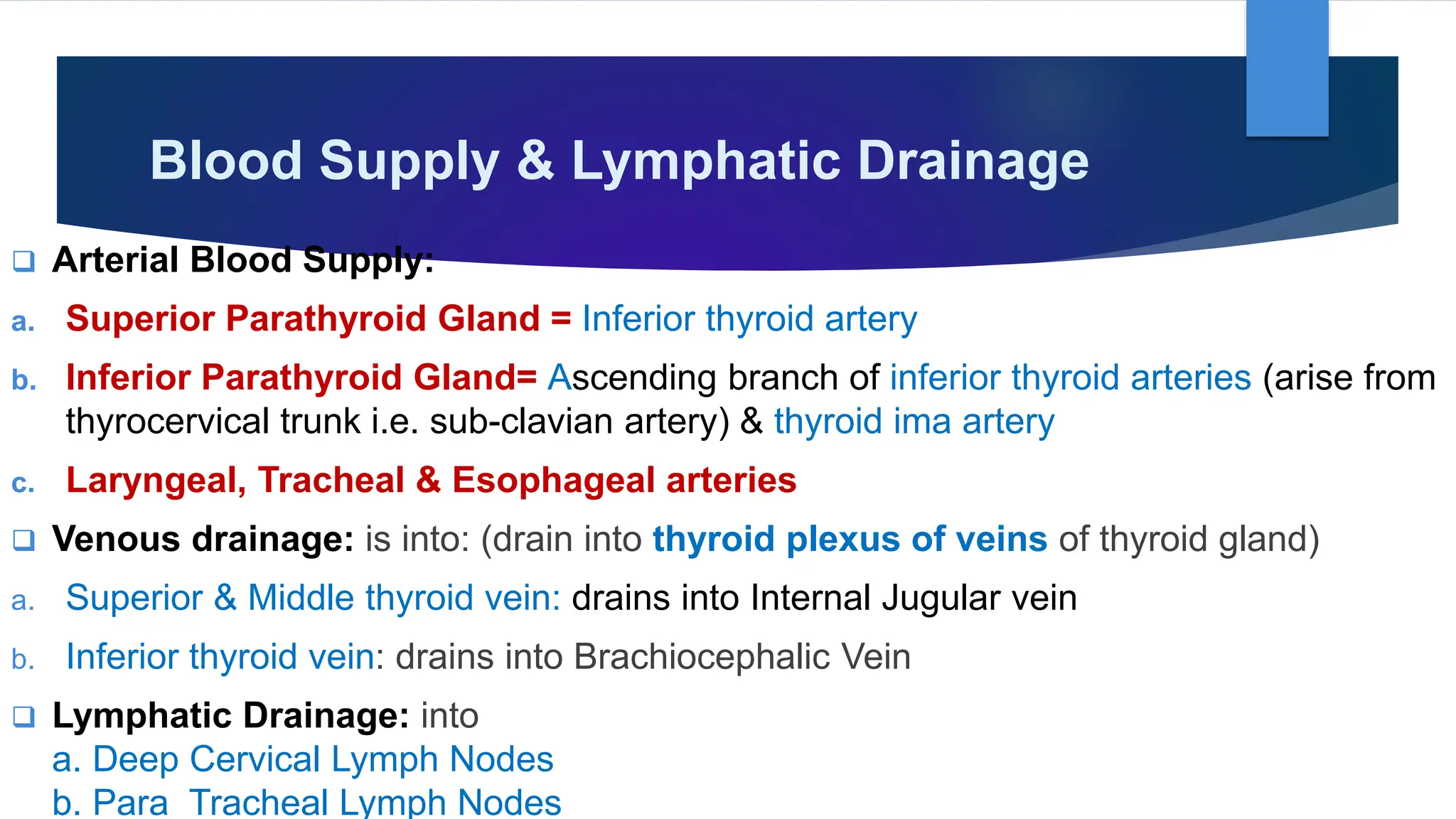 Parathyroid Glands- Gross Anatomy & Histology by Dr. Rabia Inam ...