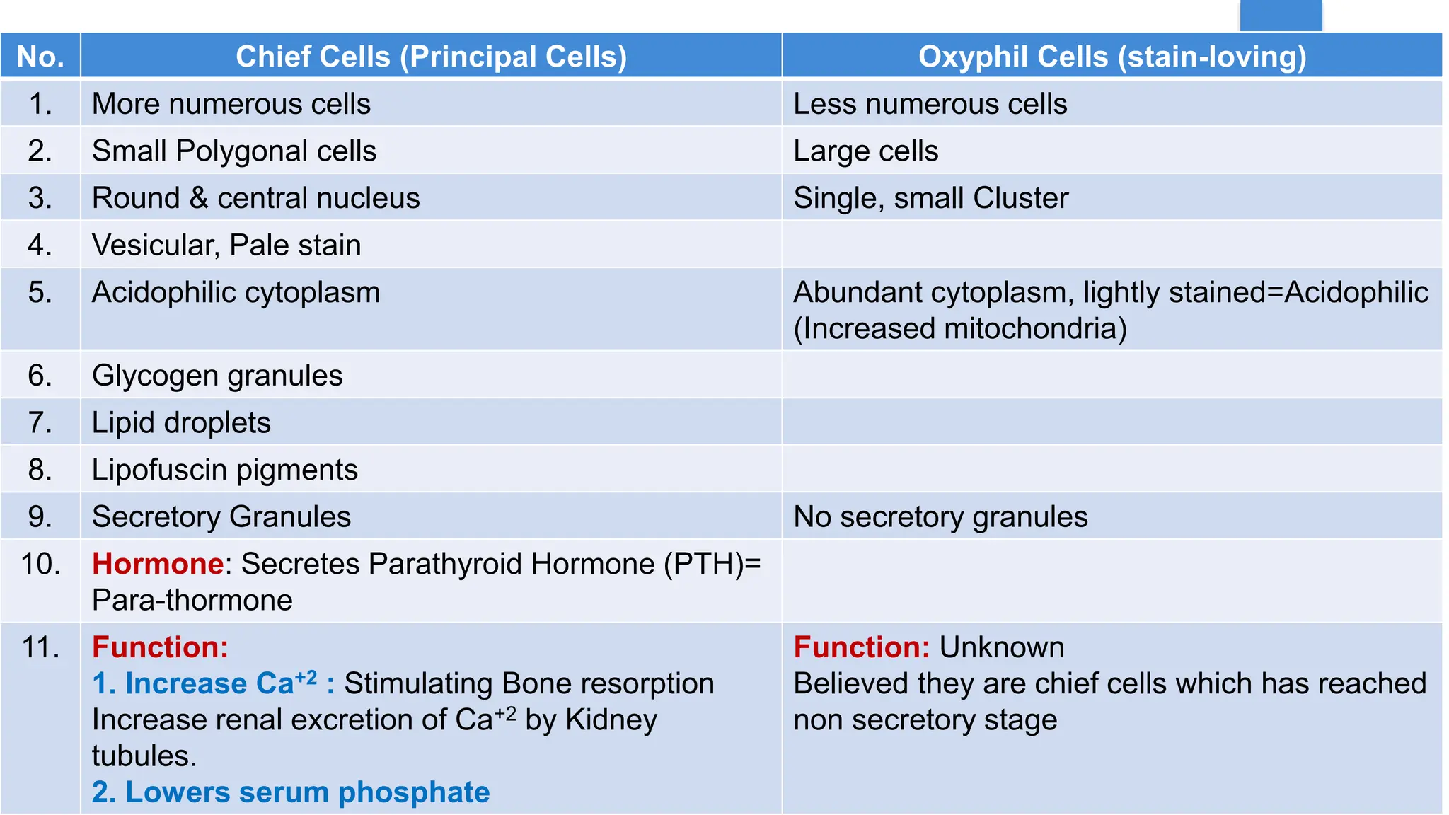 Parathyroid Glands- Gross Anatomy & Histology by Dr. Rabia Inam ...