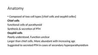 Parathyroid gland Ultrasound scan presentation | PPTX