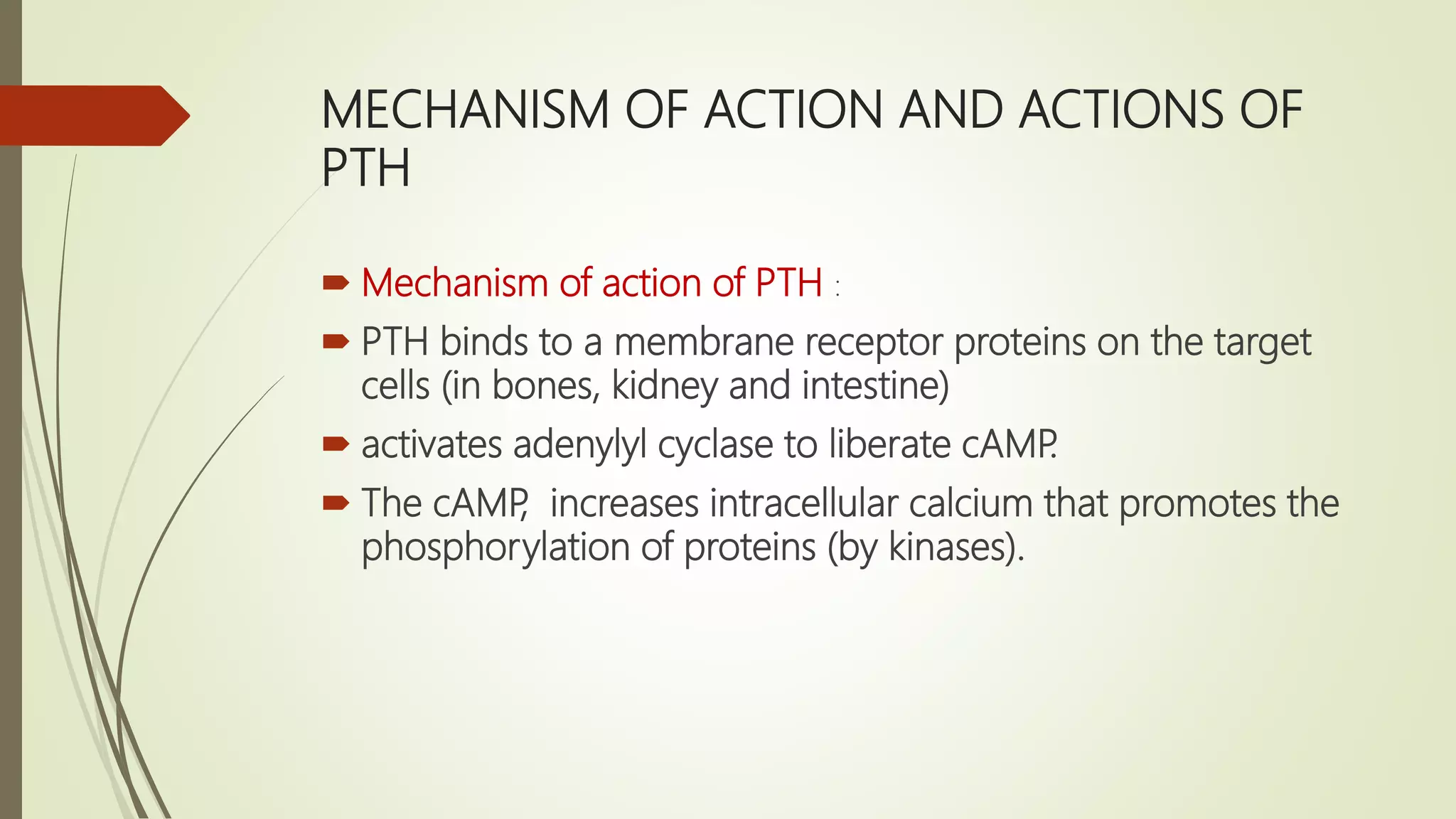 Parathyroid hormone by Dr. Amruta Nitin Kumbhar, Asst. Professor Dept ...