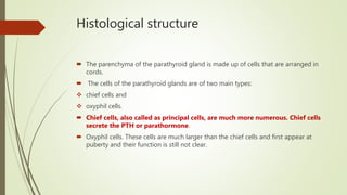 Parathyroid hormone by Dr. Amruta Nitin Kumbhar, Asst. Professor Dept ...