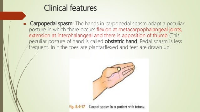 Parathyroid hormone by Dr. Amruta Nitin Kumbhar, Asst. Professor Dept…