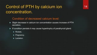 Parathyroid hormone | PPTX