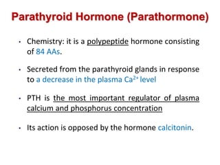 Parathyroid hormone | PPT | Endocrine and Metabolic Diseases | Diseases ...