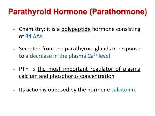 Parathyroid hormone | PPT | Endocrine and Metabolic Diseases | Diseases ...