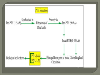 Parathyroid hormone | PPT