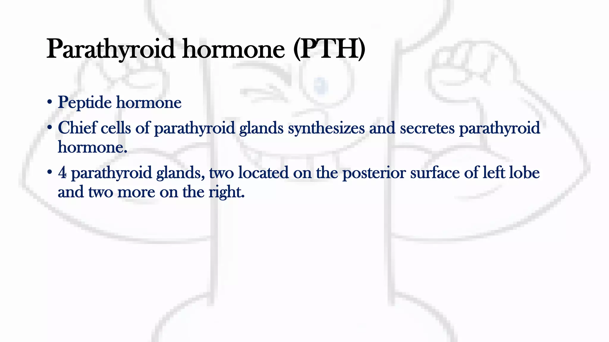 Parathyroid hormone - Stimulus, Physiological actions, Regulation I ...