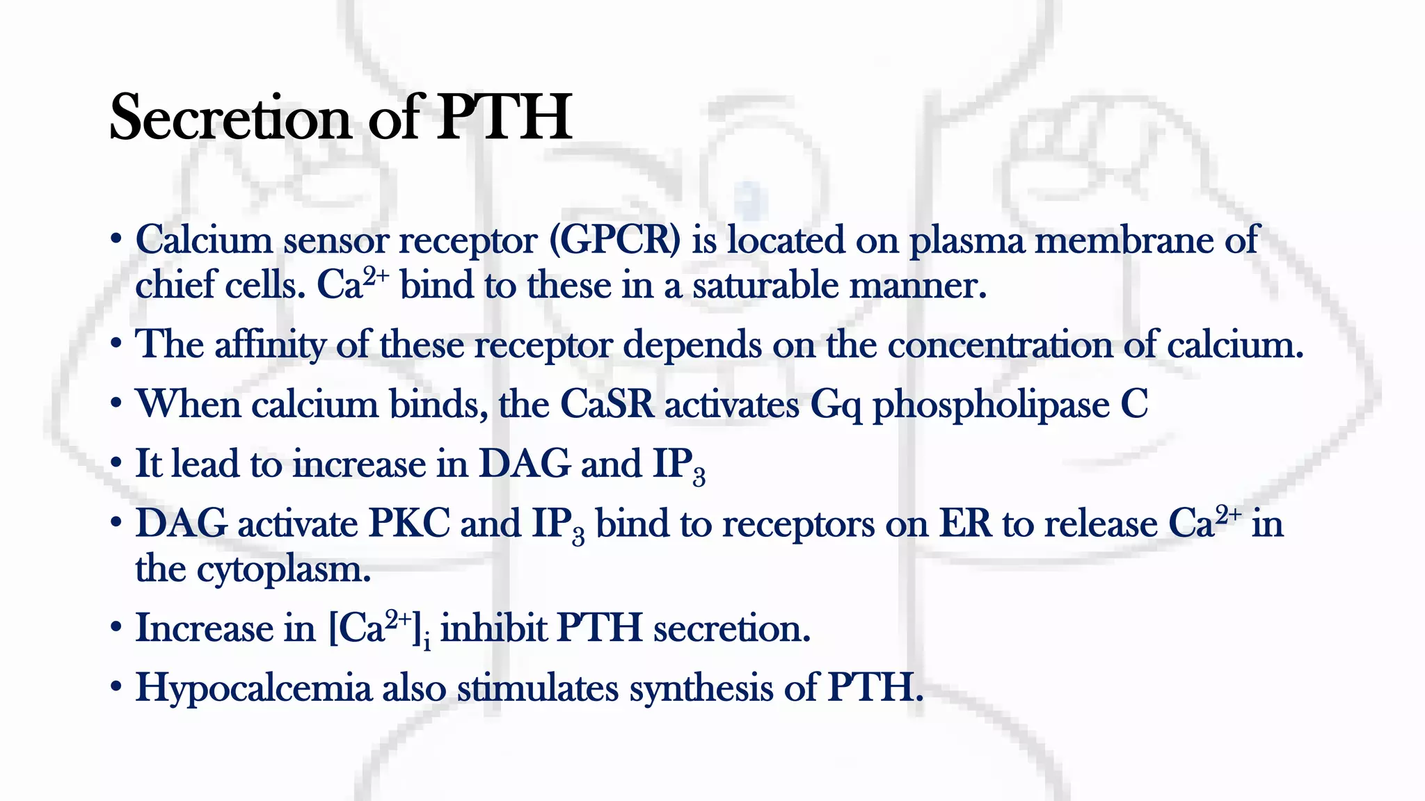 Parathyroid hormone - Stimulus, Physiological actions, Regulation I ...