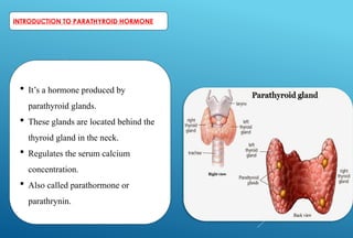 PARATHYROID HORMONE action mechanism mode of action | PPTX