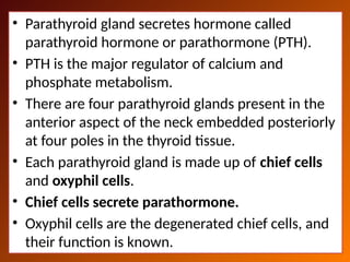 Parathyroid hormone & Vit D Calcium & phosphate homeostasis.pptx