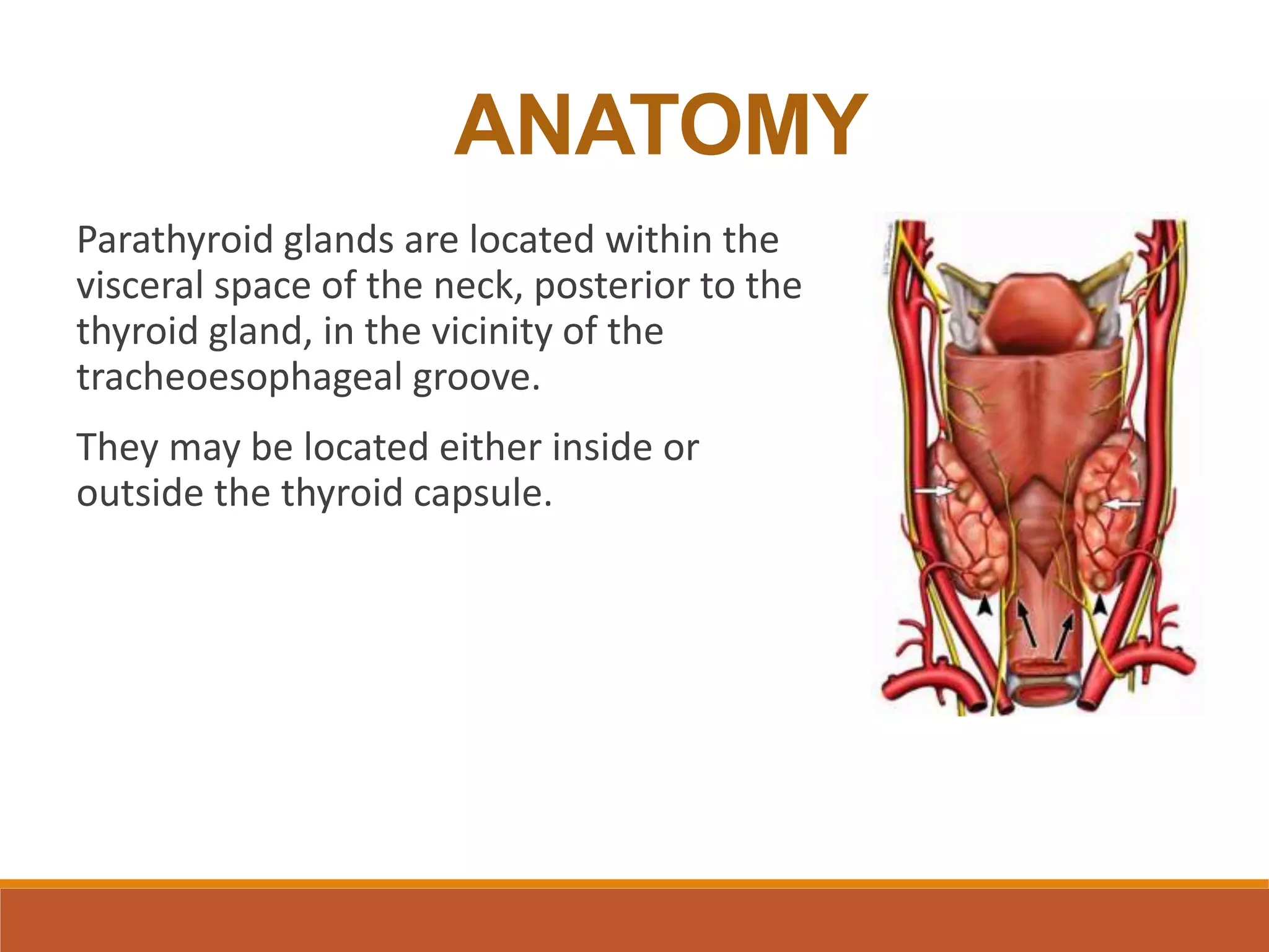 Parathyroid Imaging .pptx