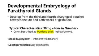 management of Hyperparathyroidism_ surgical aspects - A lecture for the ...