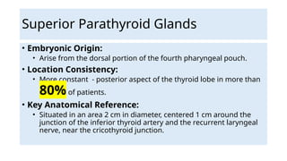 management of Hyperparathyroidism_ surgical aspects - A lecture for the ...