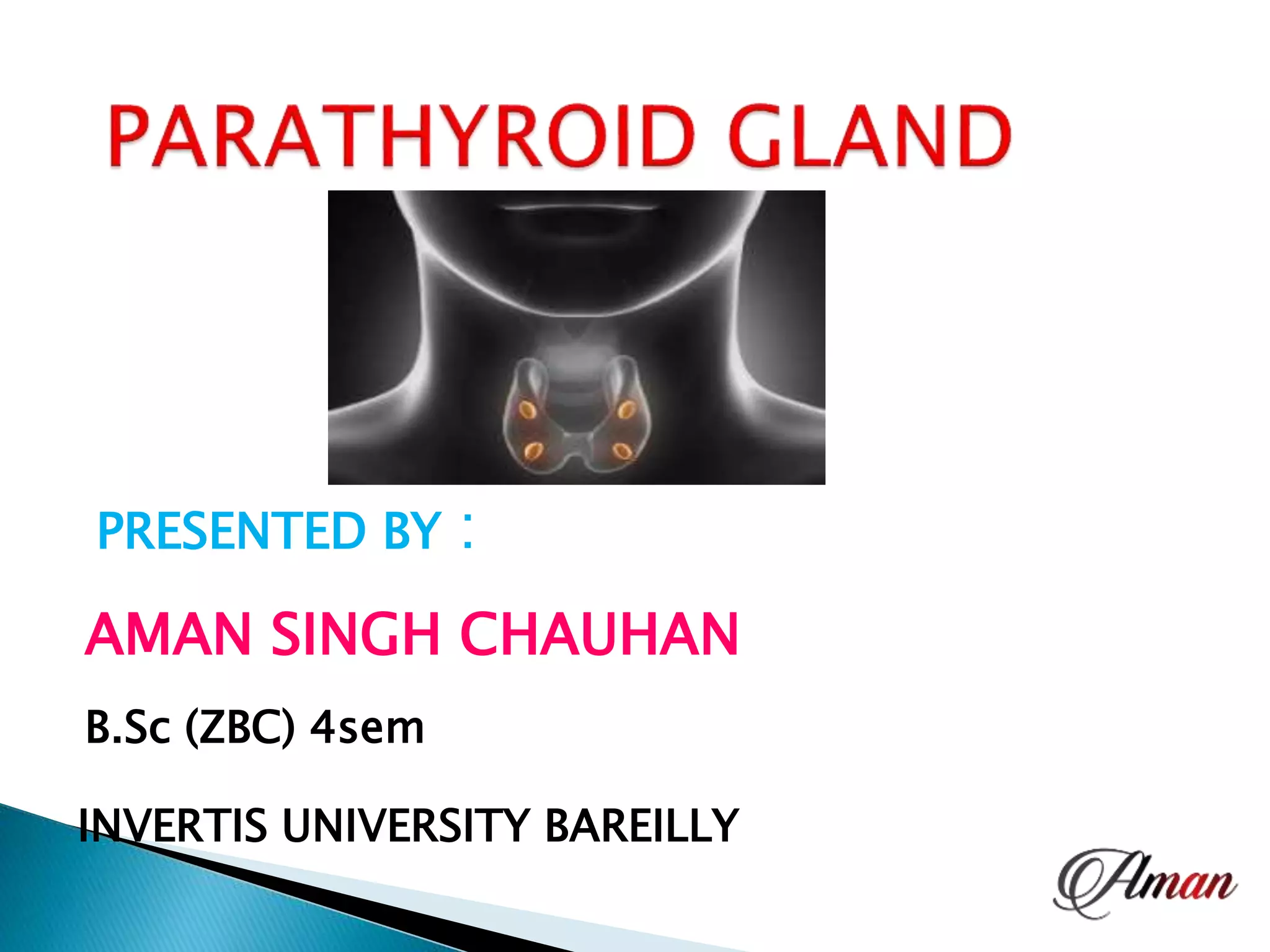 Parathyroid gland by aman chauhan | PPT