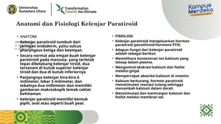 PARATIROID HORMON.pptx N M M M M , ,M , NNLKLKN.N.MMM