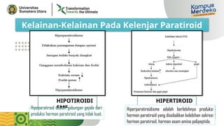 PARATIROID HORMON.pptx N M M M M , ,M , NNLKLKN.N.MMM