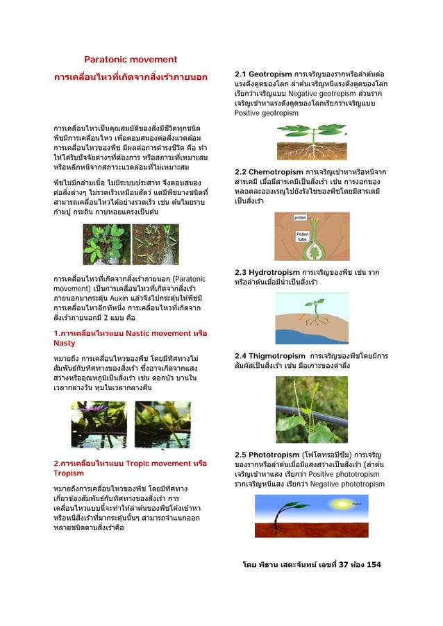 Paratonic movement | PDF