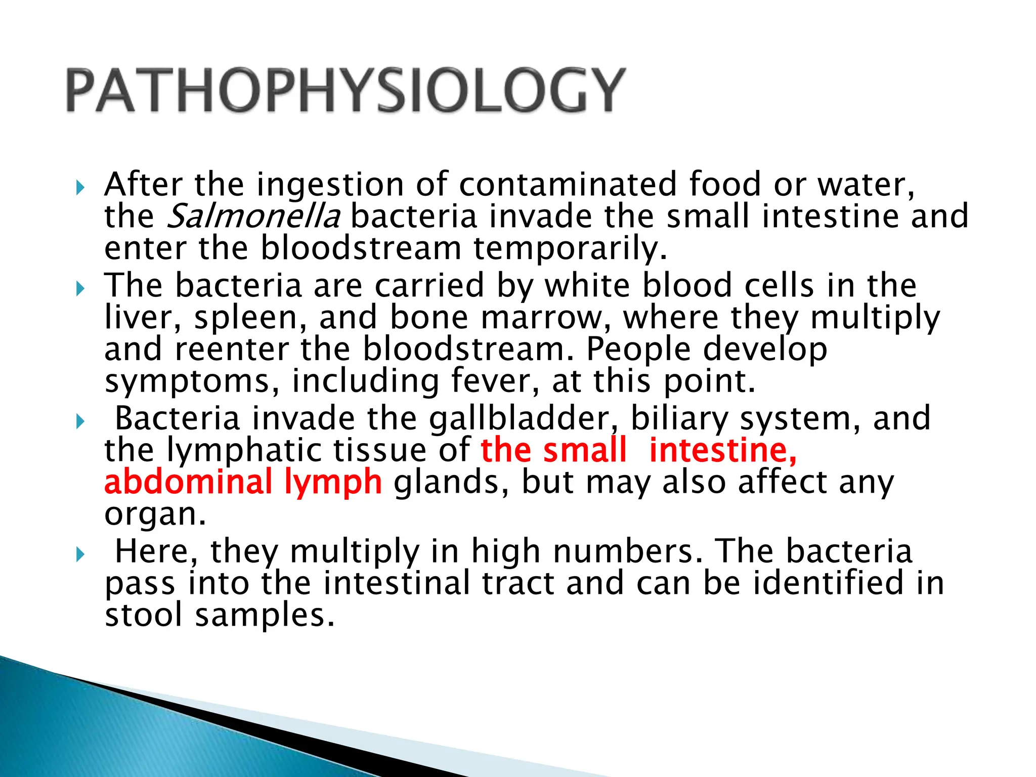 PARATYPHOID (2).pptx for Nursing students | PPTX