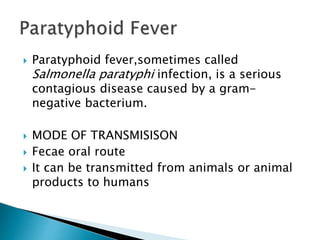 PARATYPHOID (2).pptx for Nursing students | PPTX