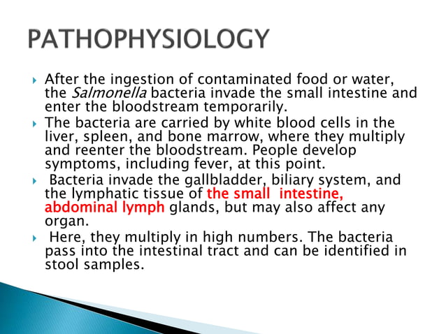 PARATYPHOID (2).pptx for Nursing students | PPTX