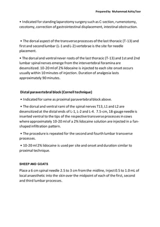 Paravertebral anesthesia | PDF