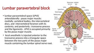 paravertebral block.pptx anesthetic consideration | PPTX