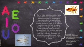 Parazitske infekcije kože, šuga i vašljivost | PPT